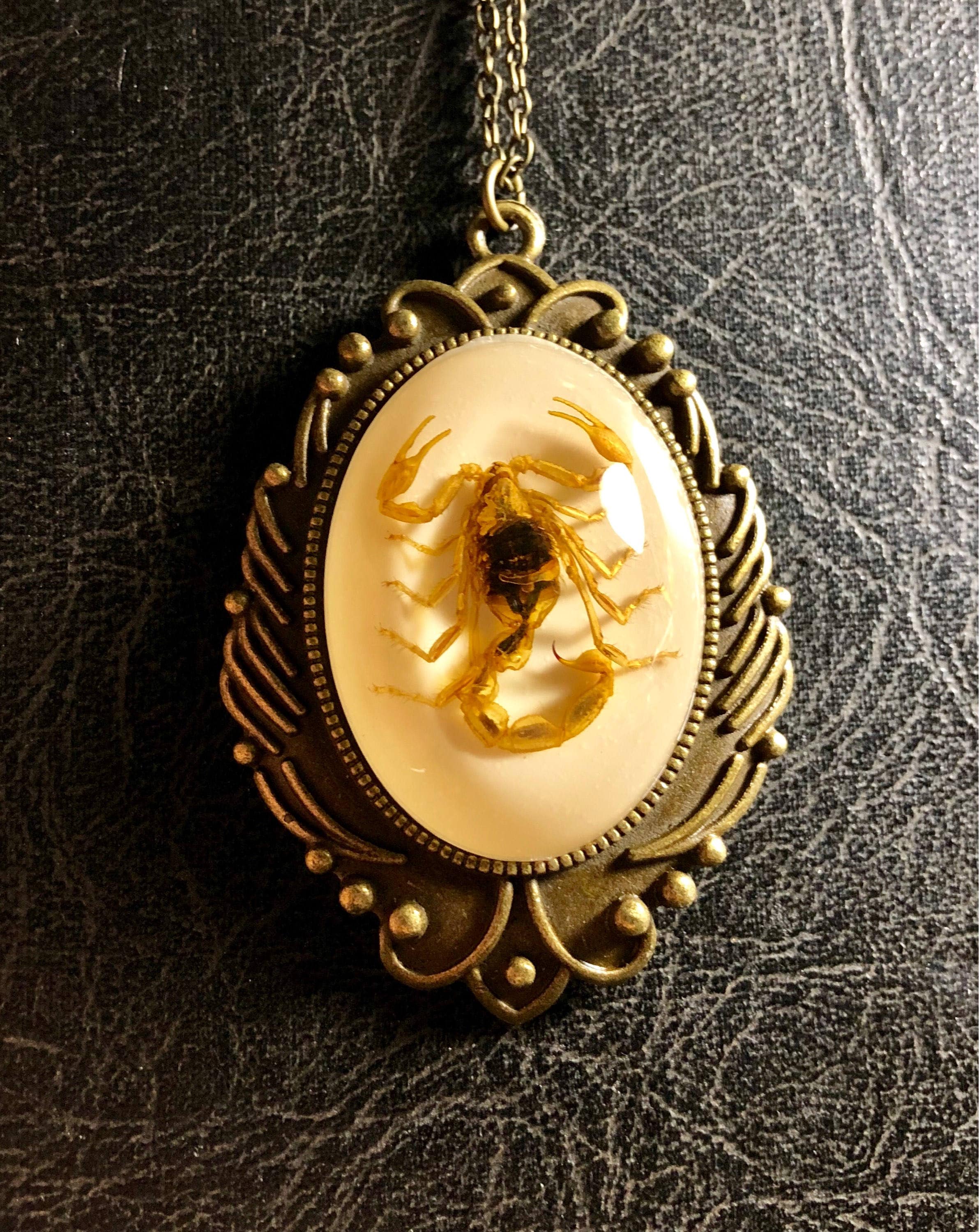Huge Real Golden Yellow Scorpion Specimen in White Resin Cameo | Etsy