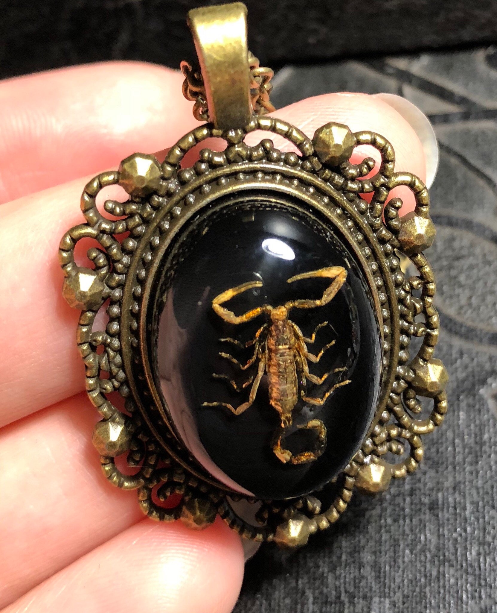 Real Golden Scorpion Specimen on Black Resin in Metal Lace Bronze ...