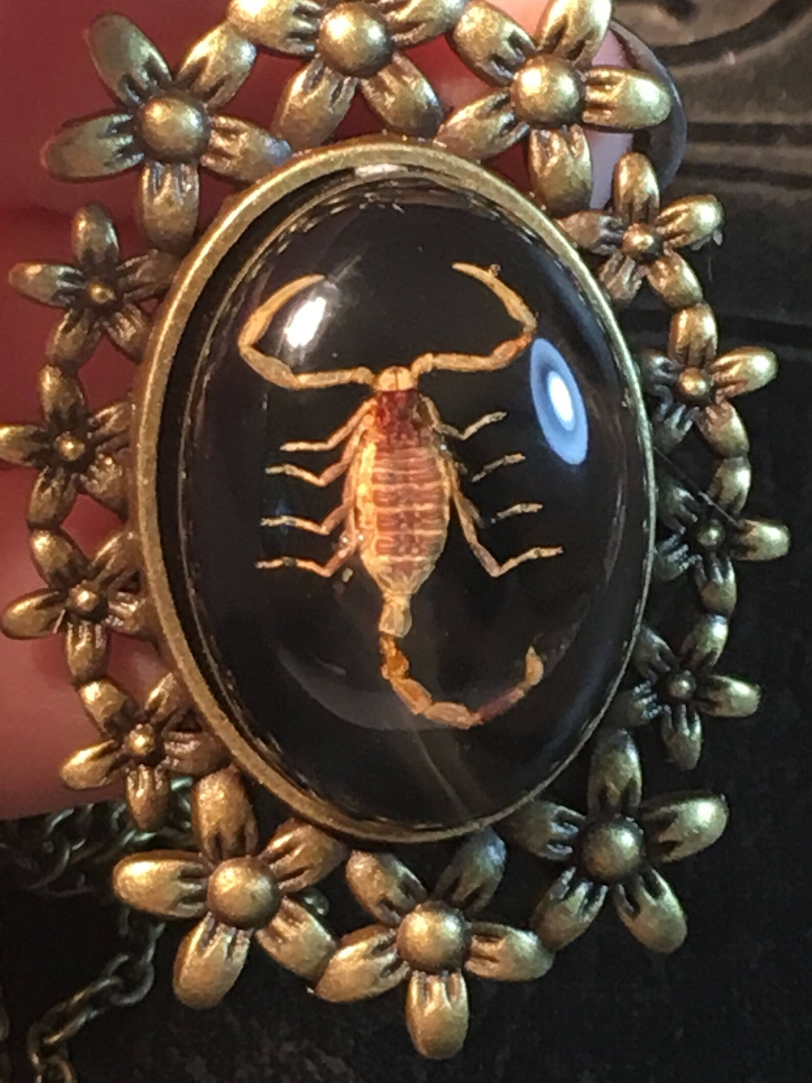 Flower Chain Golden Bark Scorpion Specimen on Black Resin Cameo Lace ...