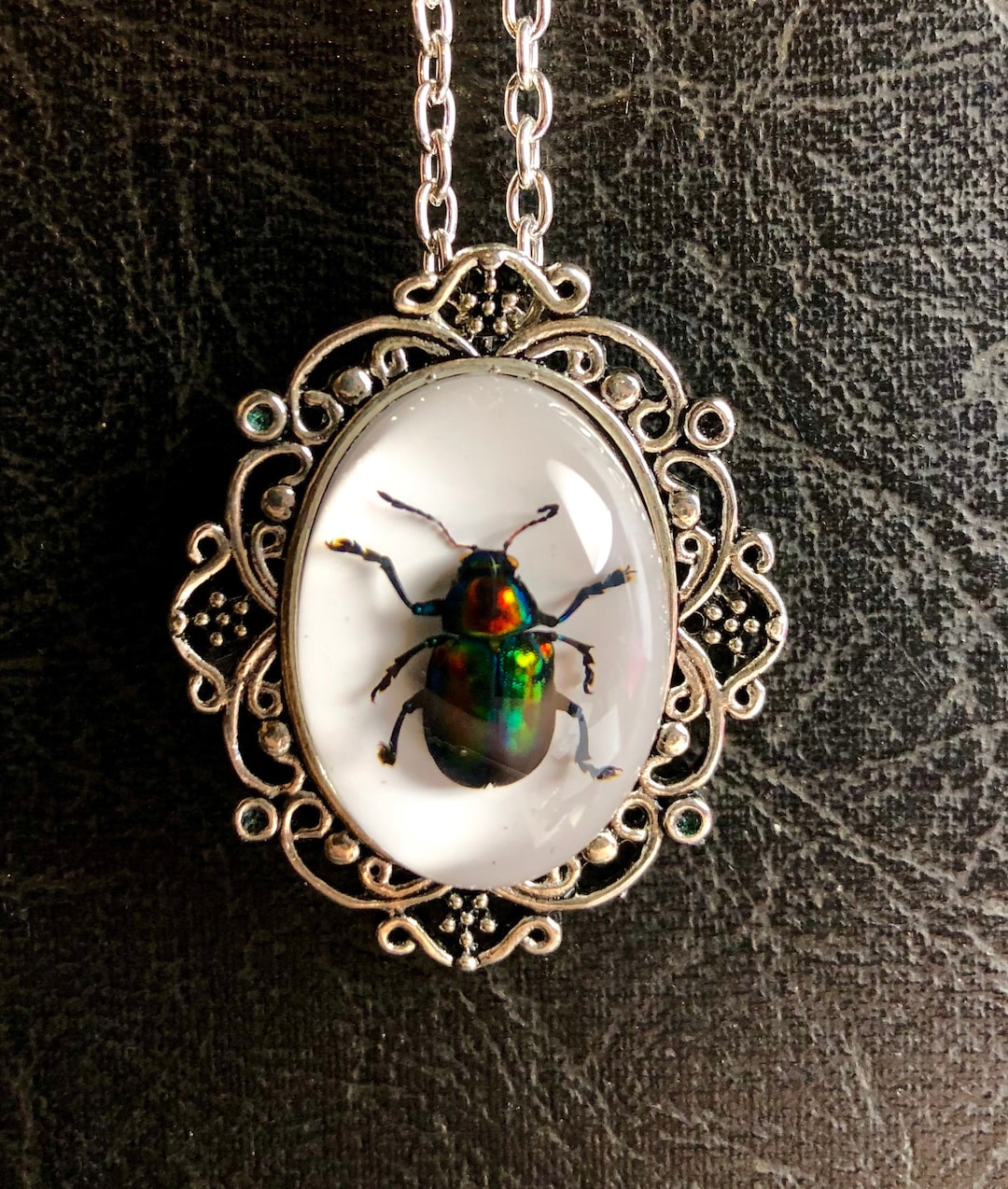 Real Leaf Beetle Rainbow Insect Preserved Specimen in Resin Cameo ...