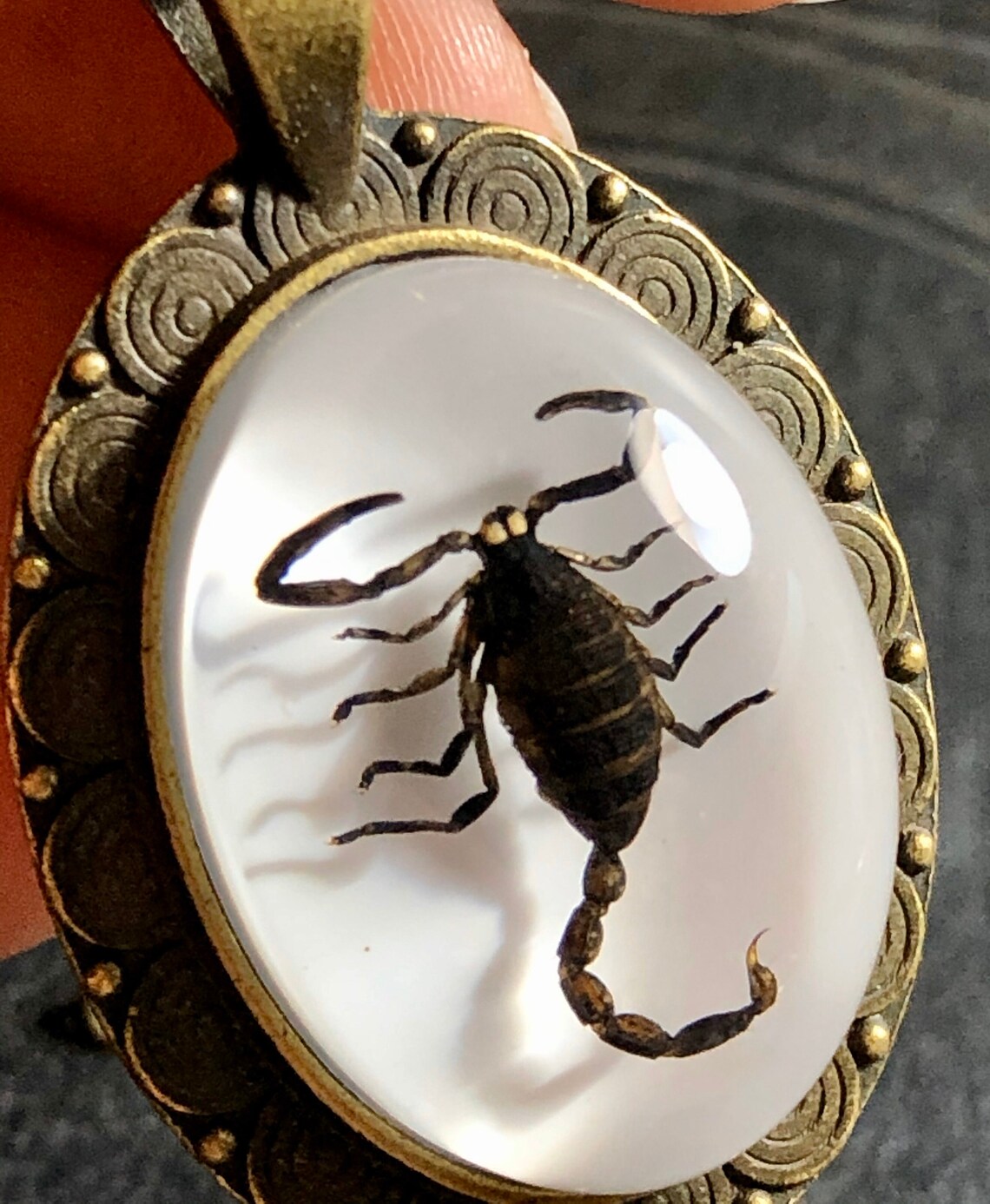 Real Black Scorpion Specimen on White Resin Cameo Bronze Bezel | Etsy