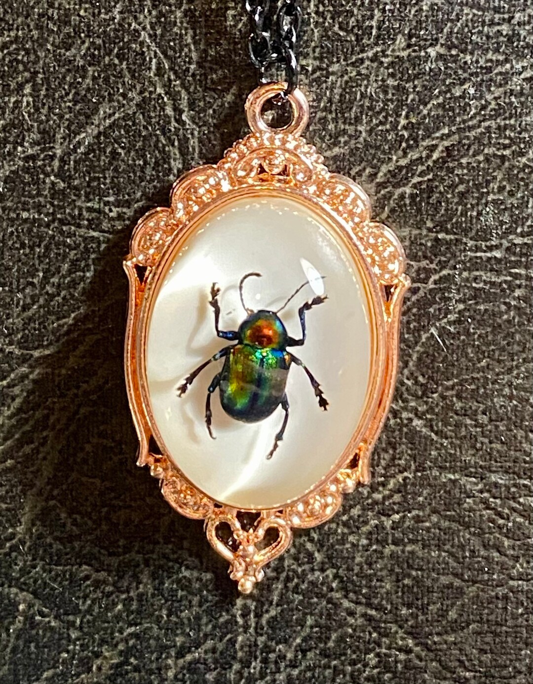 Real Rainbow Beetle Insect Preserved Specimen in Resin Cameo Rose Gold ...