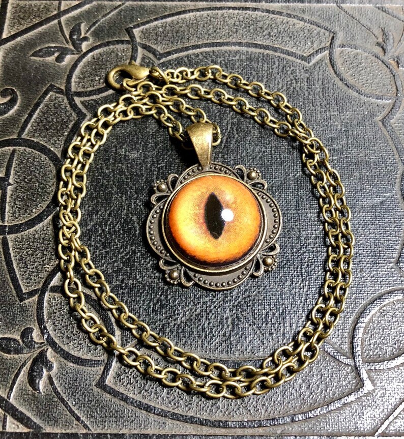 Red Fox Eye Taxidermy Acrylic Slit Eye Necklace Taxidermist Whites Big ...