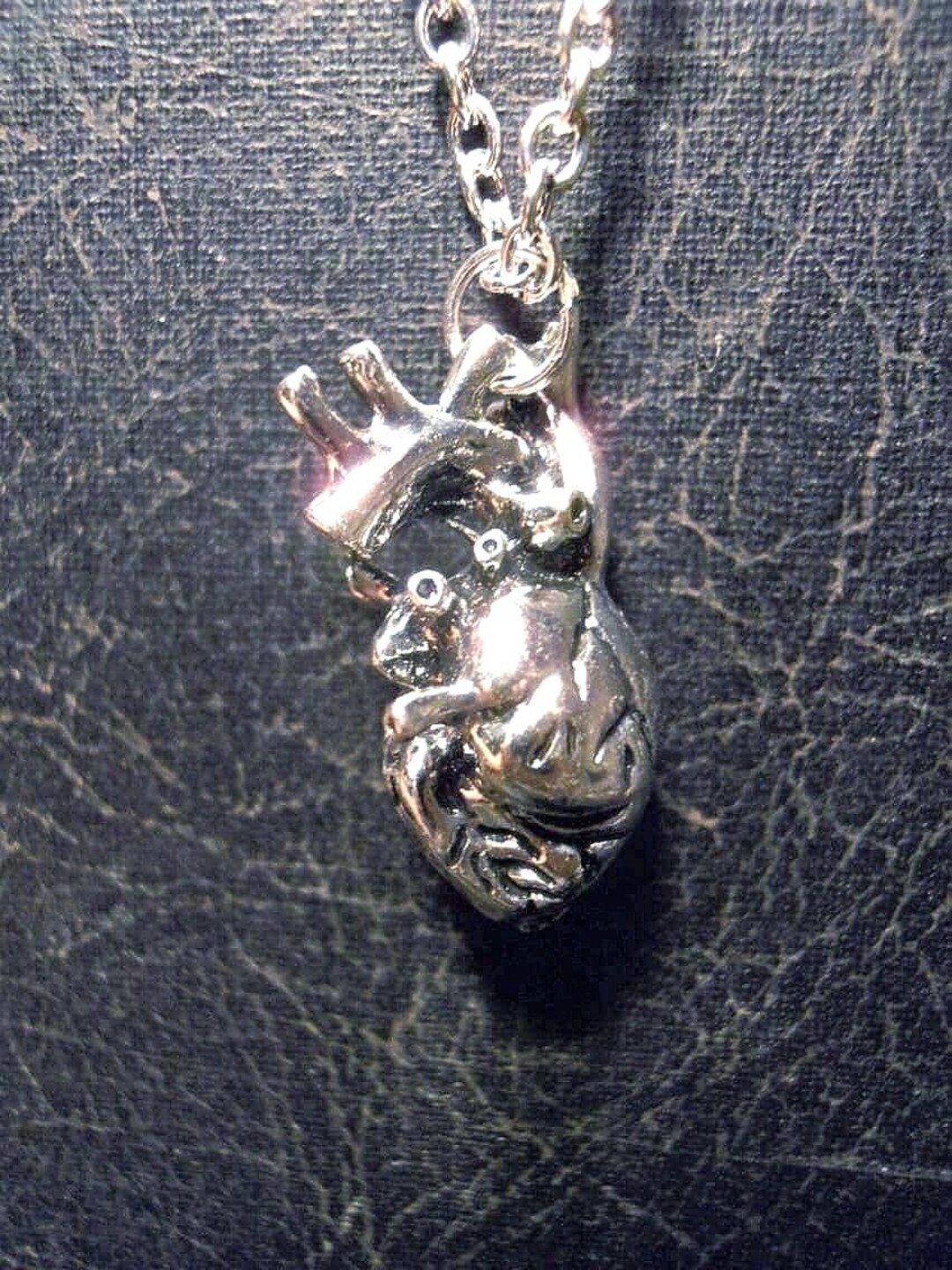 Realistic Human Heart Anatomical 3D Cardiac Anatomically Correct ...
