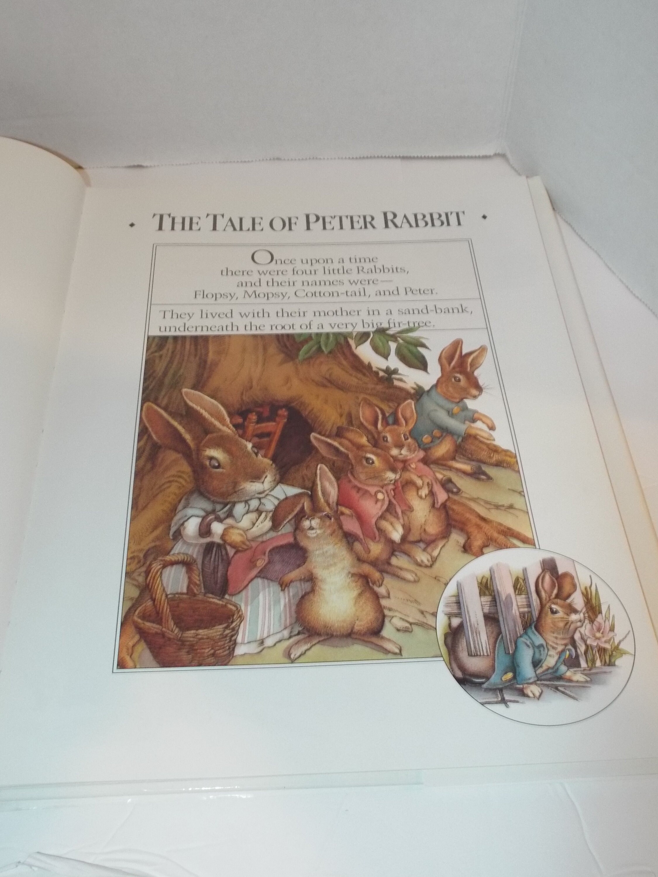 The Tales of Peter Rabbit Childrens Vintage Nursery Rhymes | Etsy