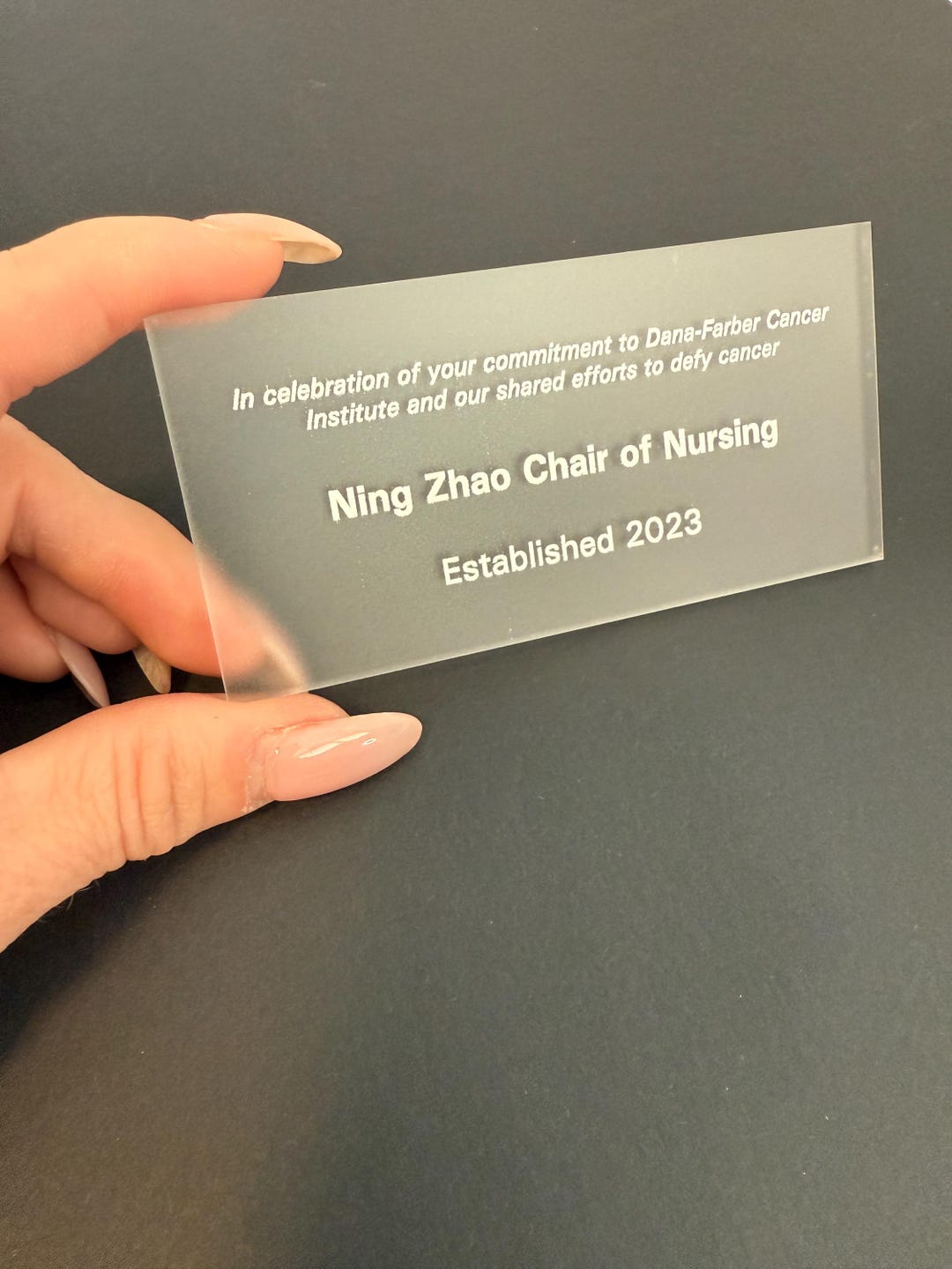 2x4 Inch Frosted Acrylic Plaque - Etsy