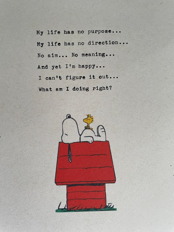 Snoopy And Charlie Brown Quotes Peanuts Quotes 2 Snoopy And The