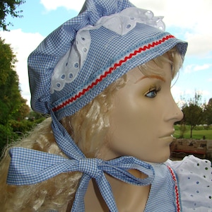 Frontier Pioneer Woman Costume Plus Size W/ Bonnet Little House on ...