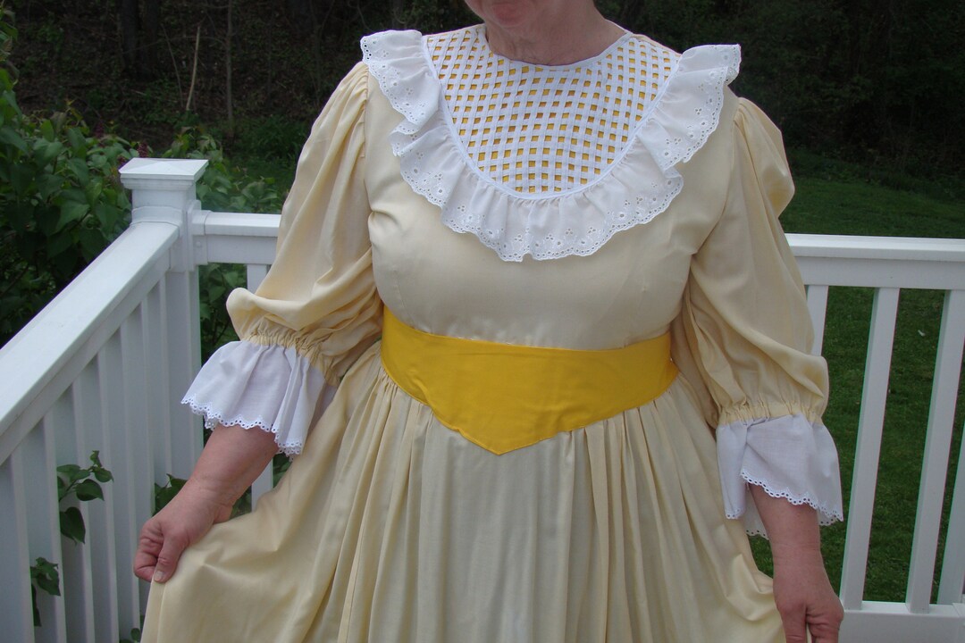 Frontier Lady Costume Plus Size Gown Old West Southern Belle Handmade ...