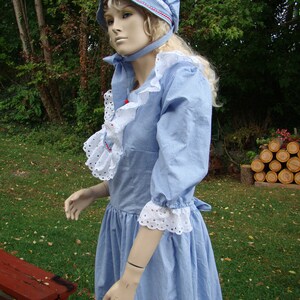 Frontier Pioneer Woman Costume Plus Size W/ Bonnet Little House on ...