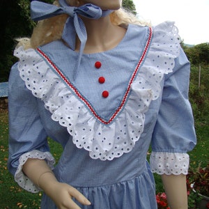 Frontier Pioneer Woman Costume Plus Size W/ Bonnet Little House on ...