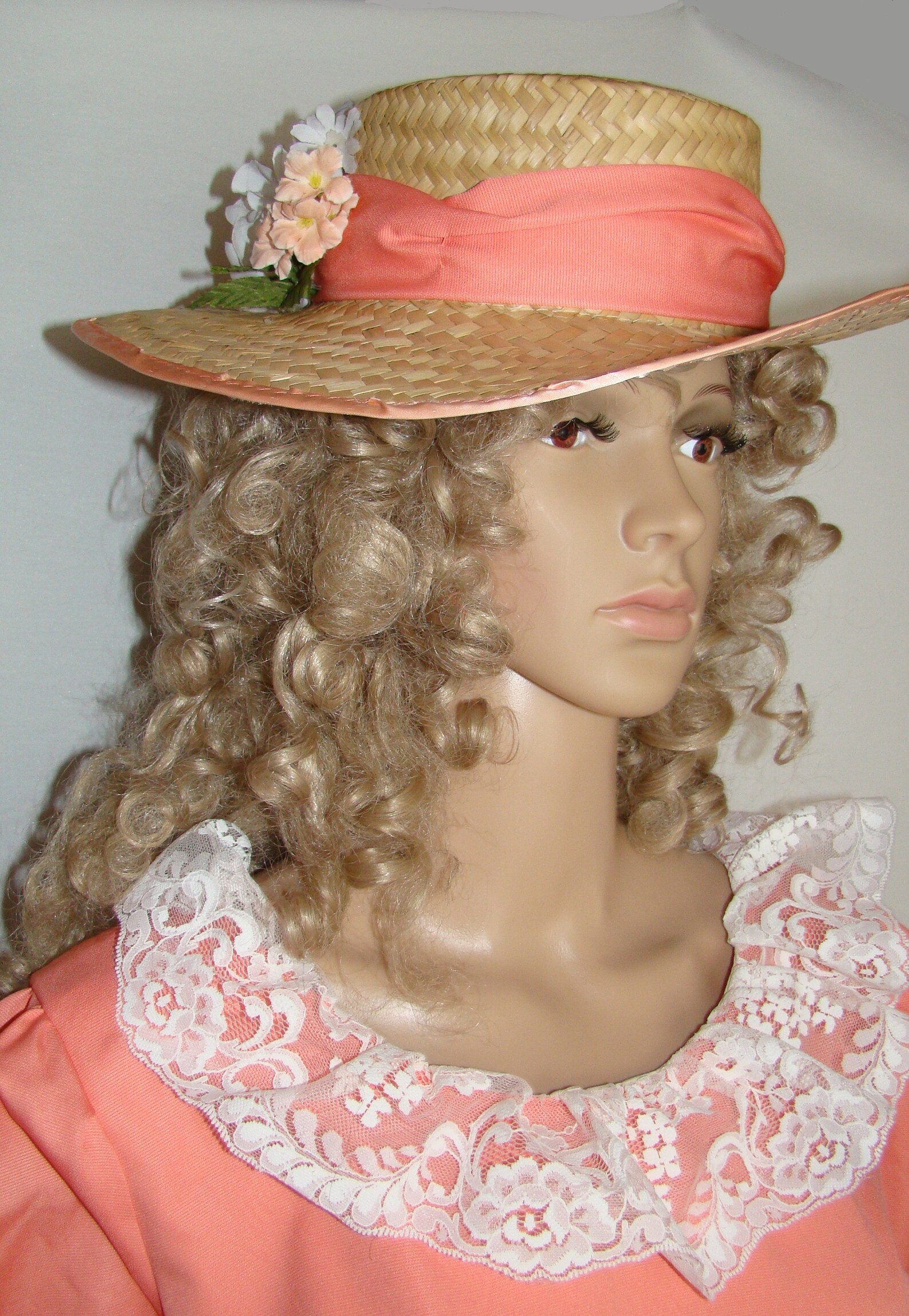 Southern Belle Costume 1800s Gown and Hat Frontier Plus Size Theater ...