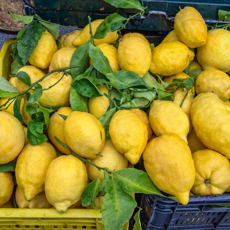 Lemon Photography - Etsy