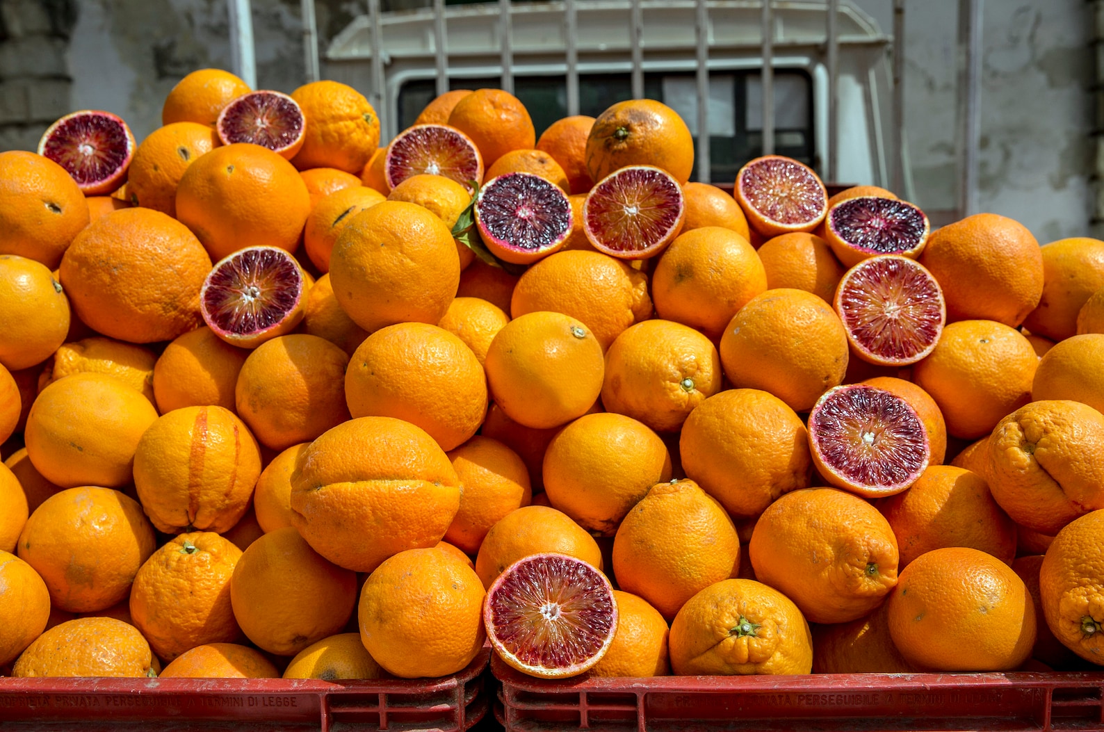 Blood Oranges Photograph, Italy Art, Italy Wall Decor, Kitchen Art ...