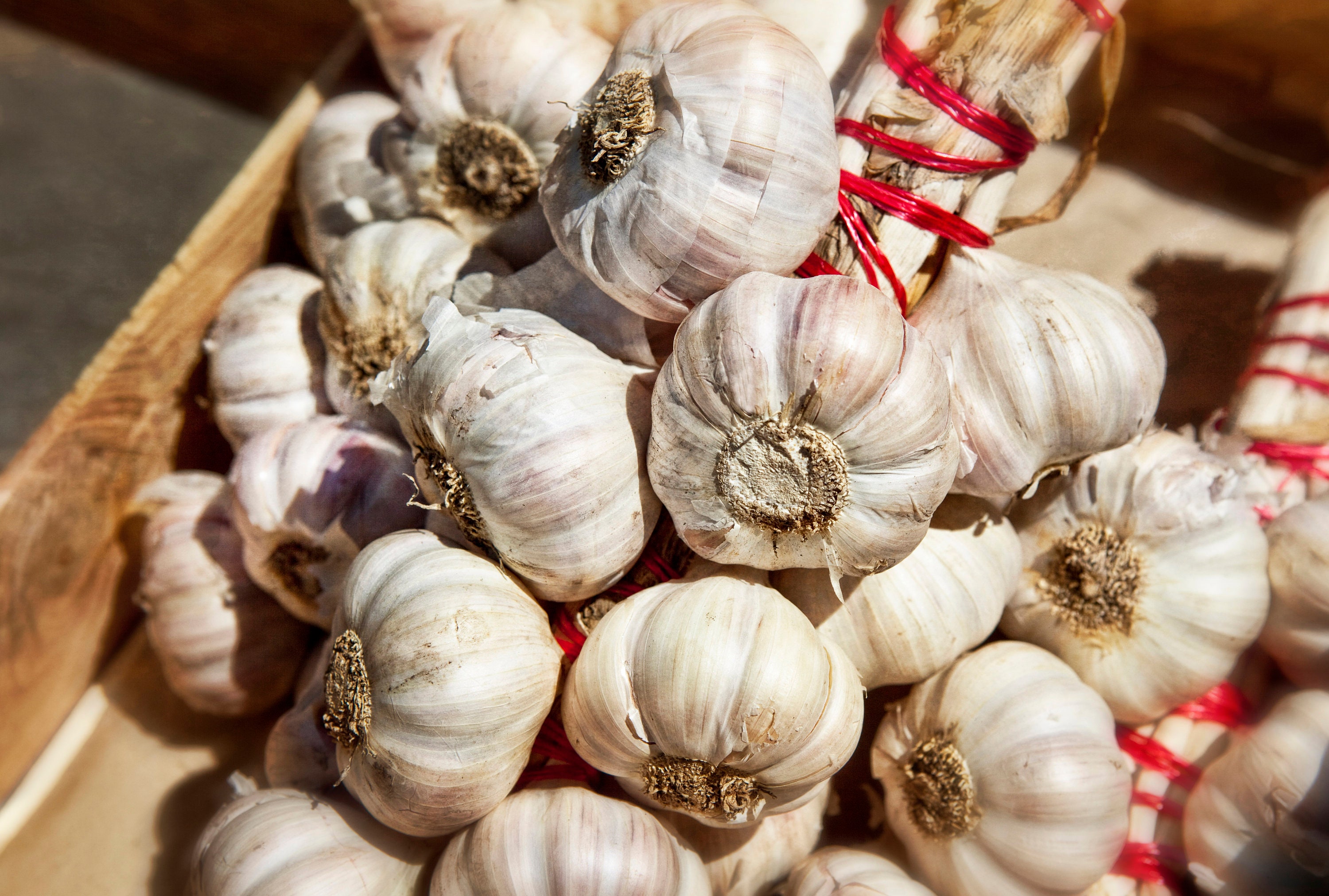 Garlic Cloves Photograph, Tuscan Art, Italy Art, Florence Wall Art ...