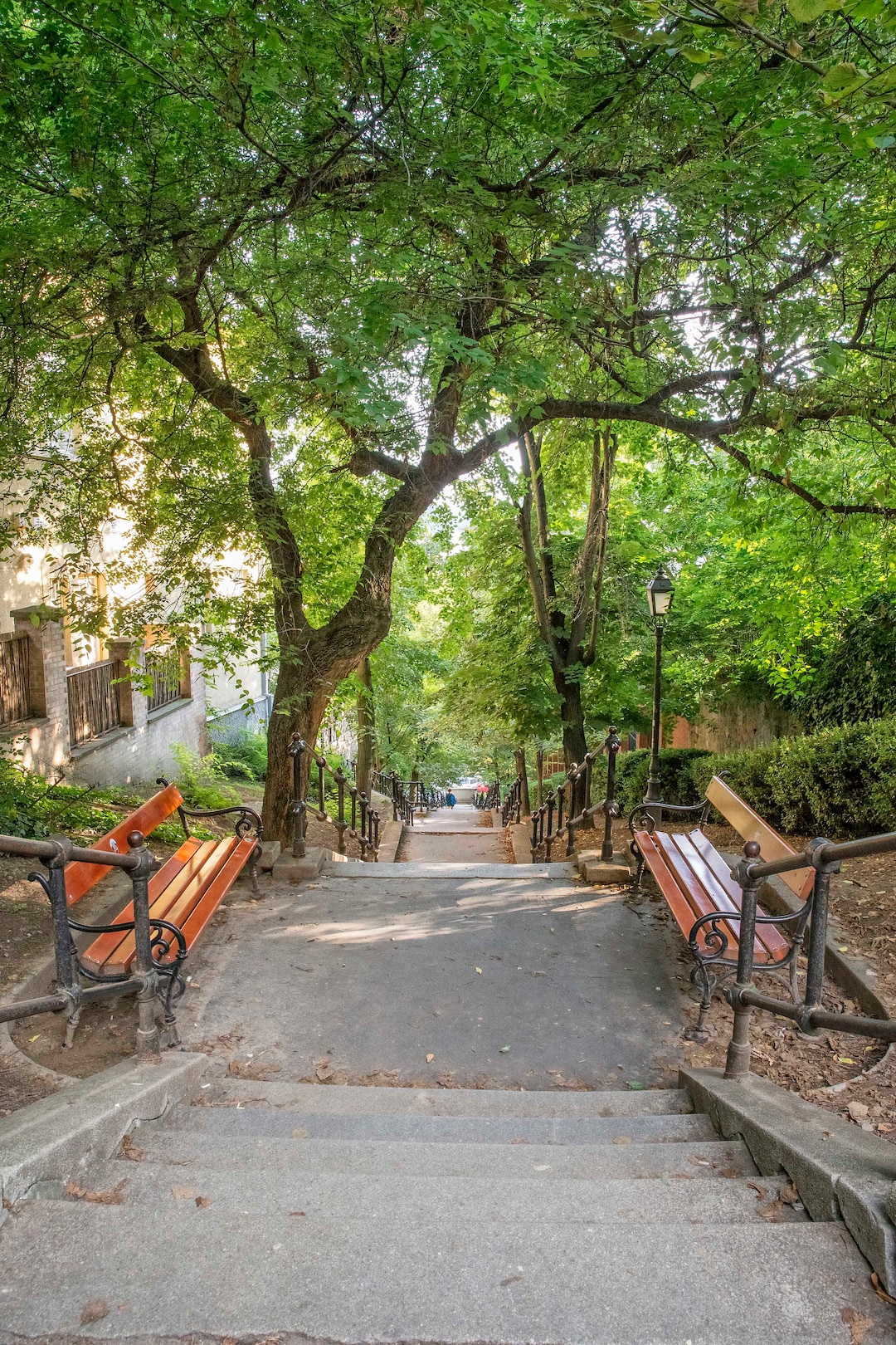 Budapest, Hungary Photo, Park Benches, Nature, Budapest Wall Decor ...
