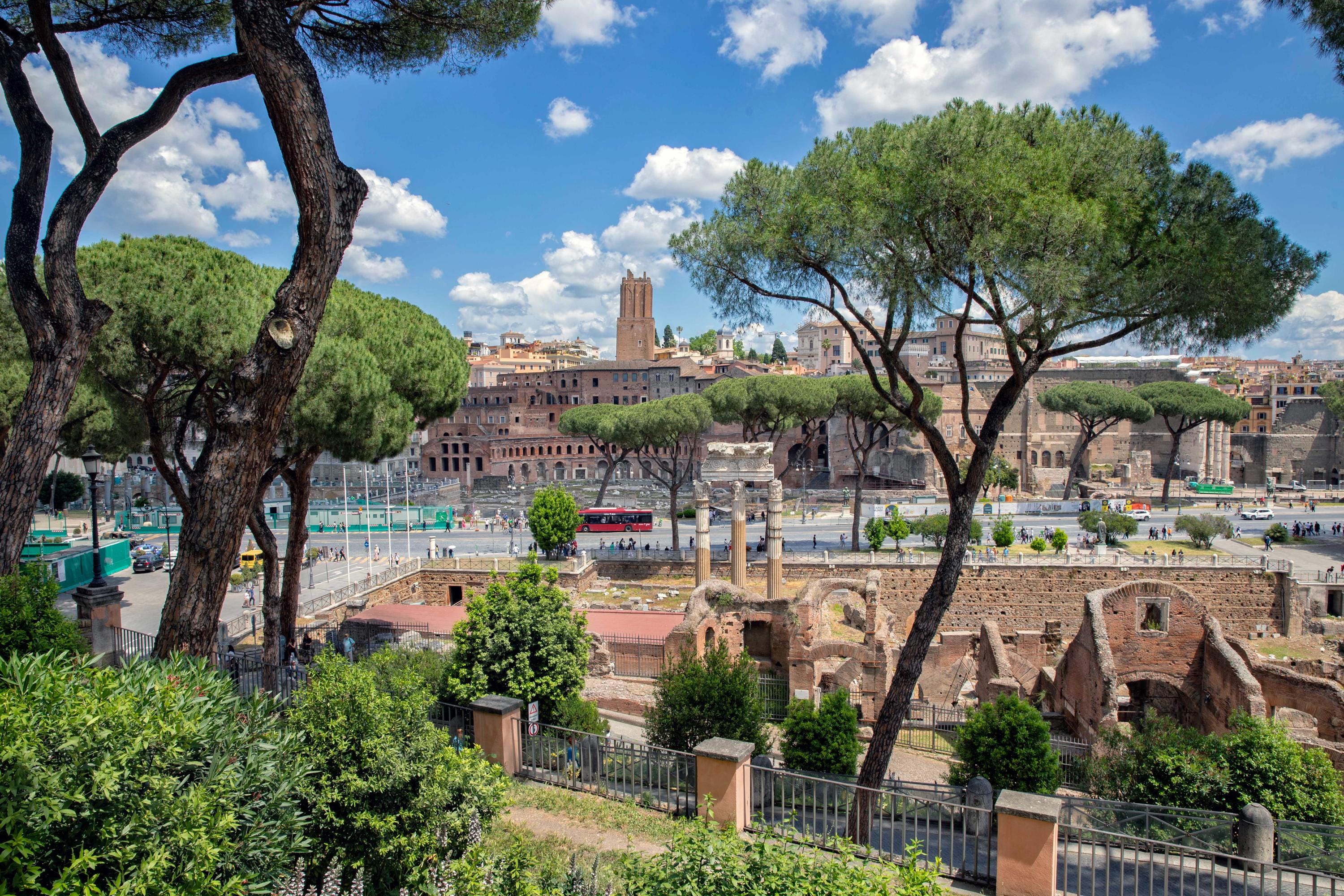 Italy Photography, Roman Forum Photograph, Roman Wall Art, Rome Wall ...