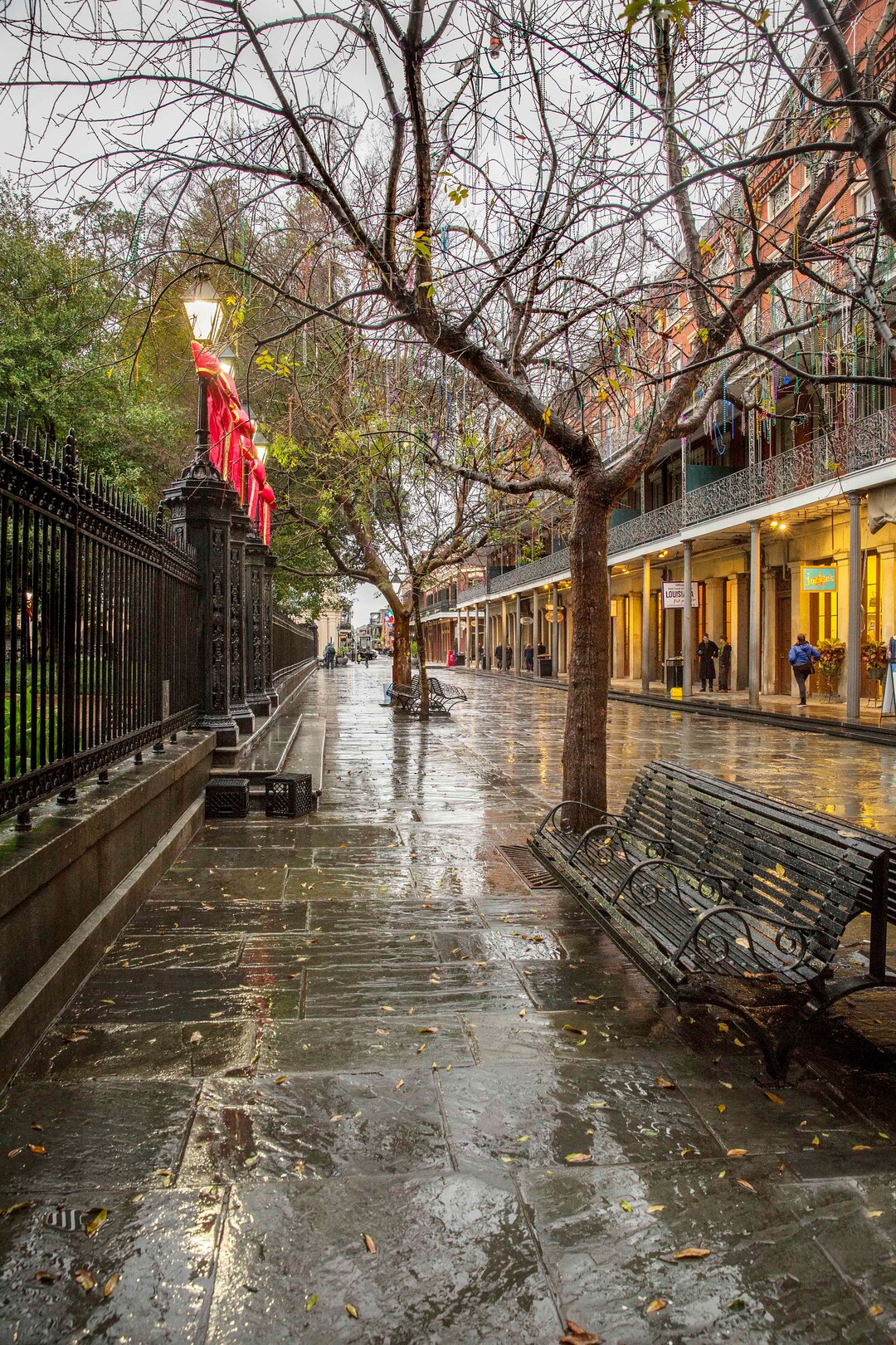 New Orleans French Quarter Photo, NOLA Wall Art, New Orleans Wall Decor ...