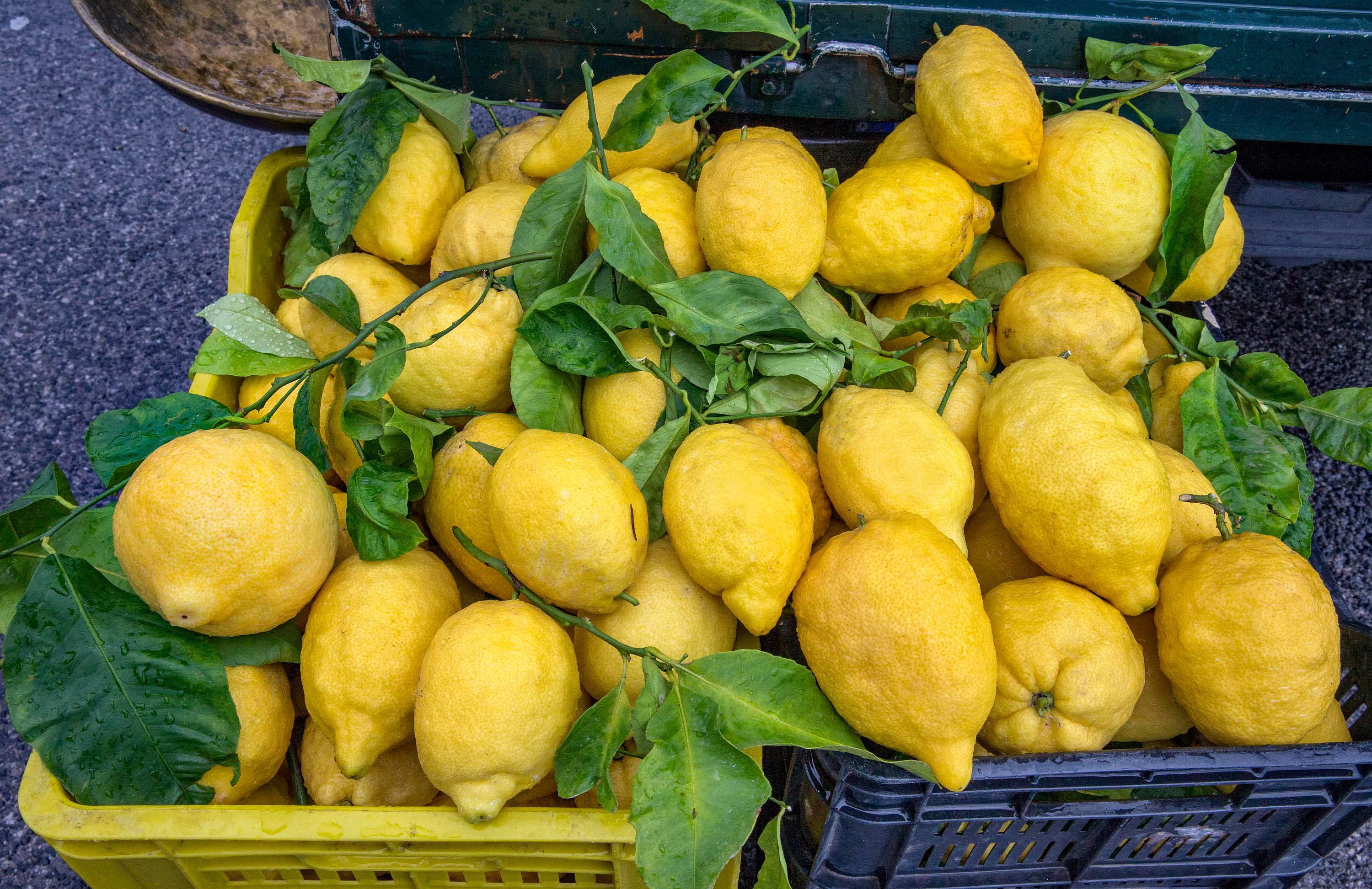 Lemons Photography, Italy Wall Art, Italian Decor, Positano Lemons ...