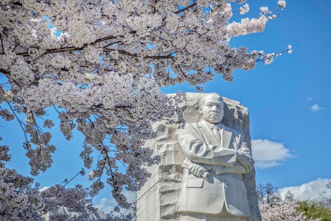 Martin Luther King Memorial, Washington DC Photo, Cherry Blossoms ...