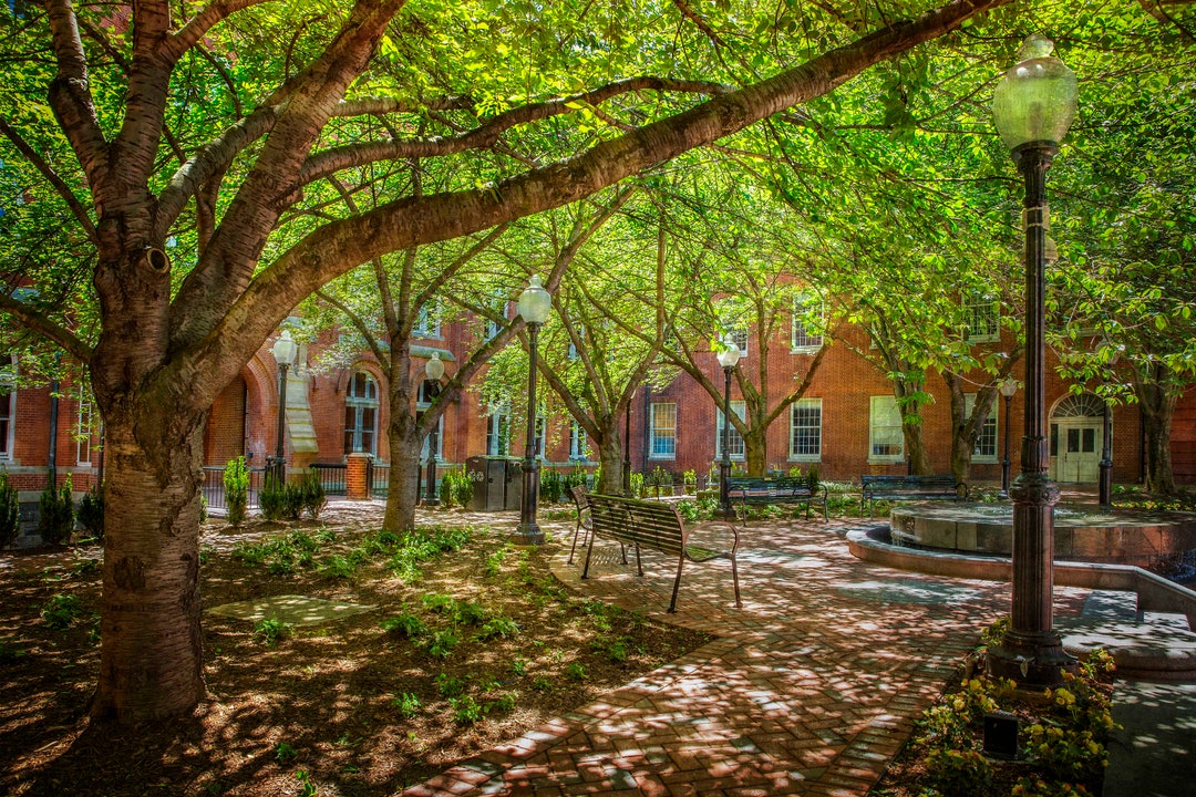 Georgetown University Photo, Washington DC Wall Art, Wall Decor, the ...