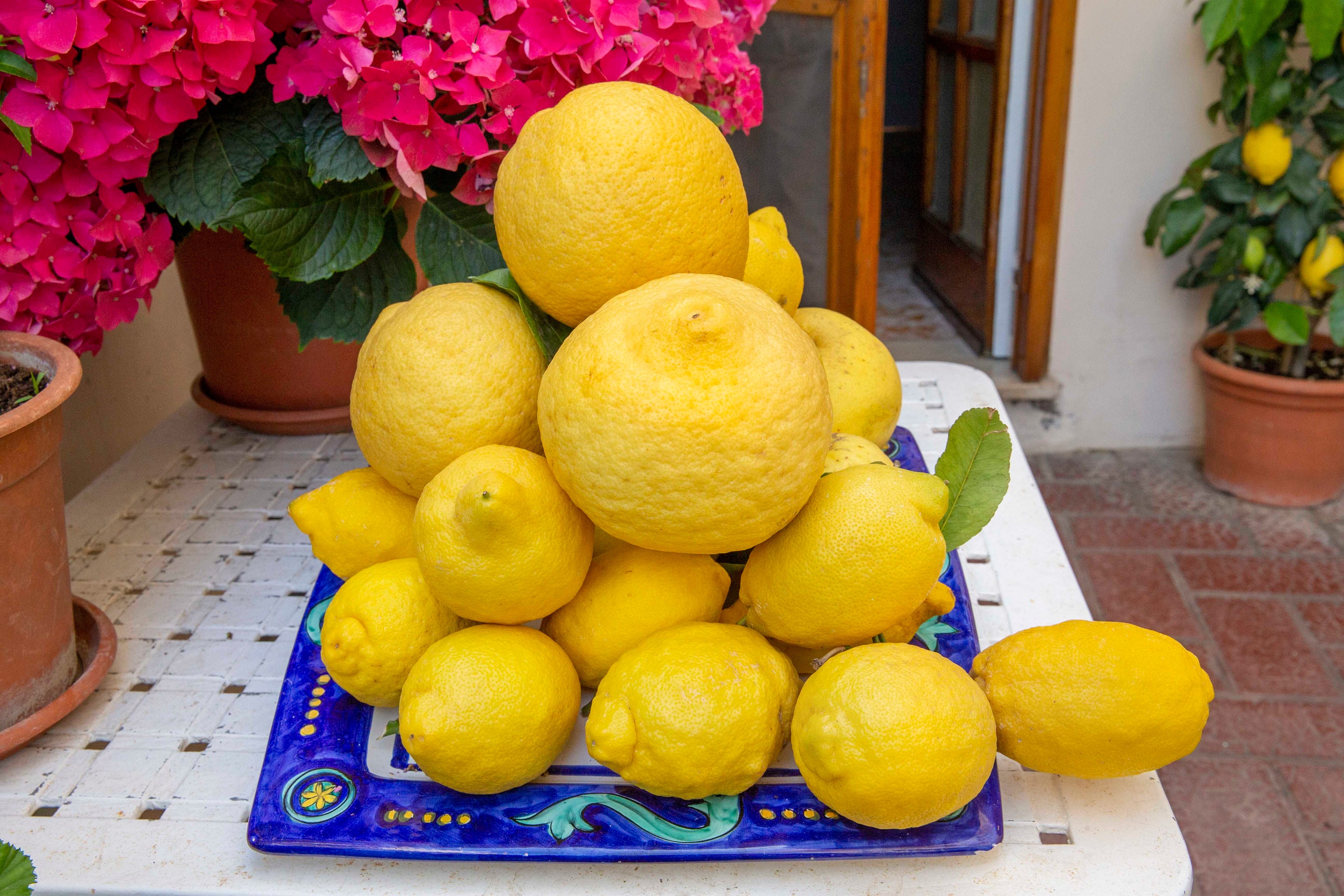 Lemons of Amalfi Photograph, Amalfi Coast, Food Photography, Produce ...