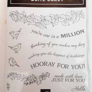 Quite Curvy Photopolymer Clear Mount Rubber Stamp Set and Curvy ...