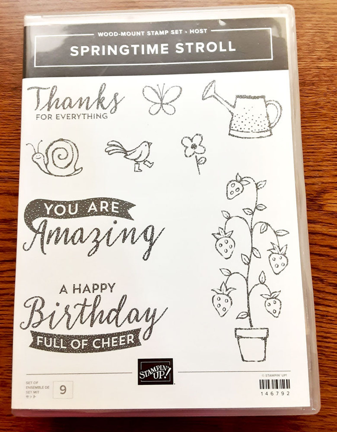 Springtime Stroll Rubber Stamp Set Retired From Stampin Up | Etsy