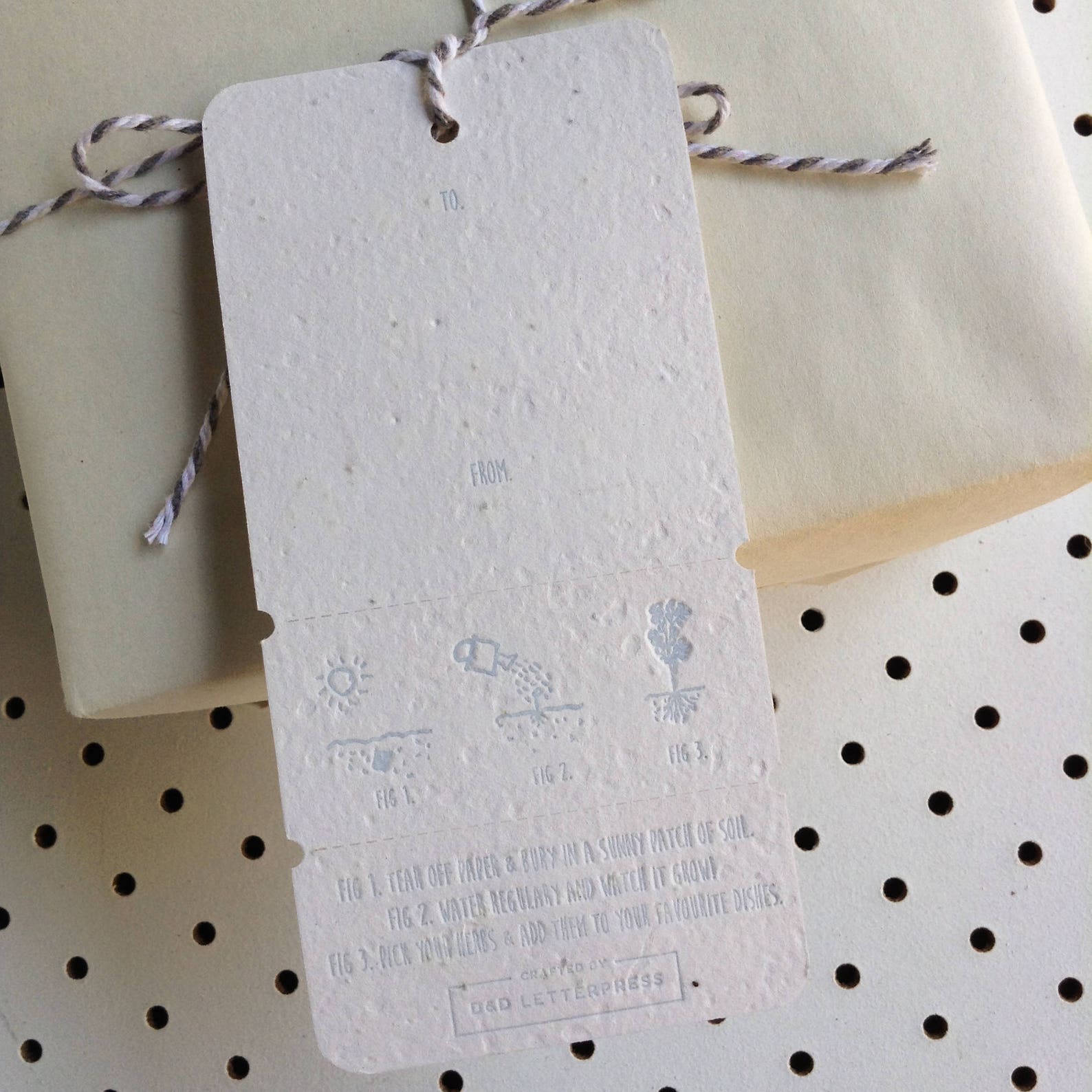 Set of 3 - Oregano Seed Paper Swing Tags - Etsy