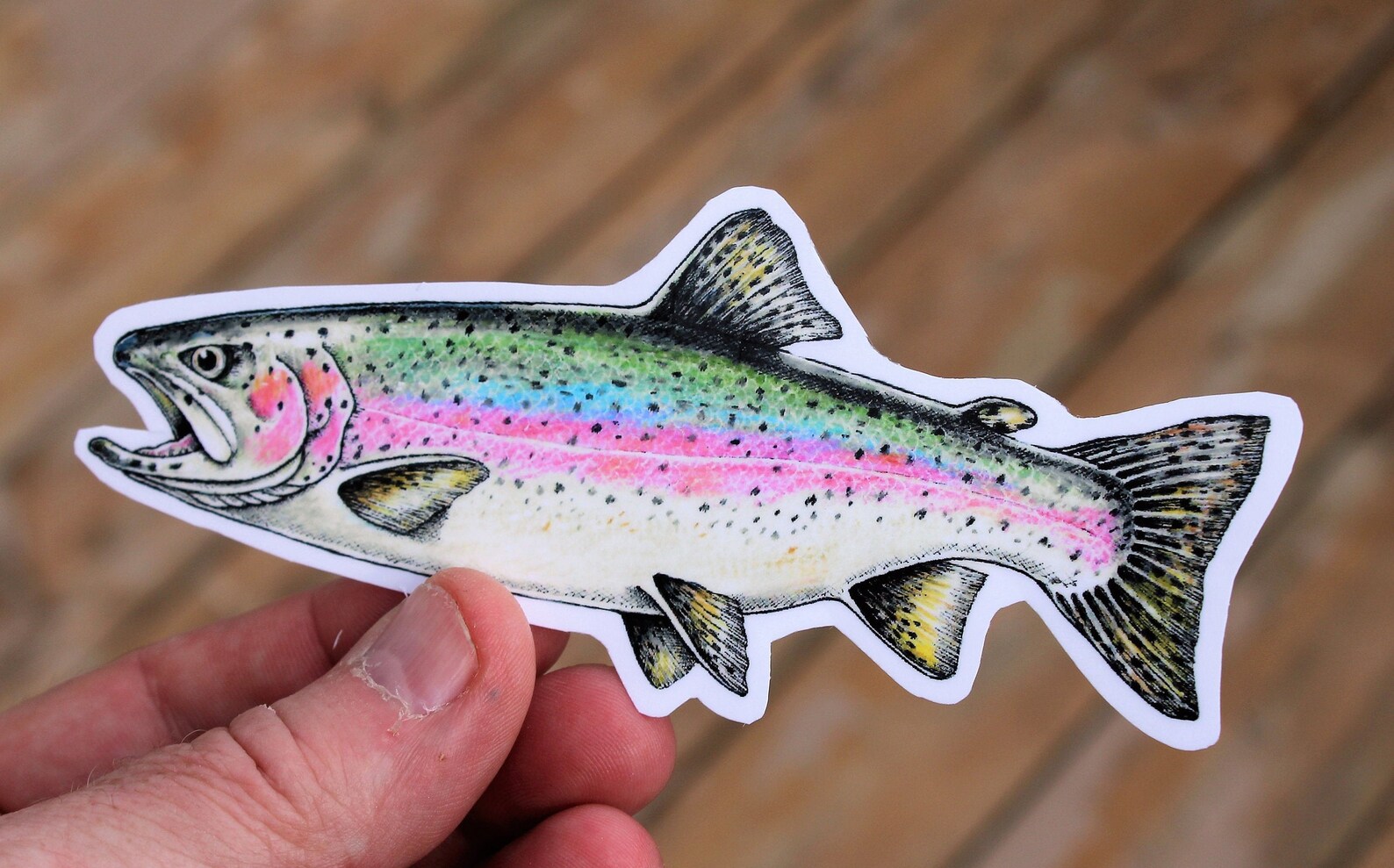 Sticker Decal Fish Rainbow Trout Steelhead Water - Etsy
