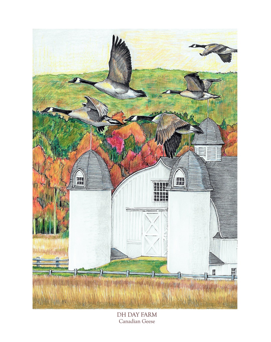 DH Day Farm (canadian Geese), Art Print. Barn, Autumn, Fall, Bird ...