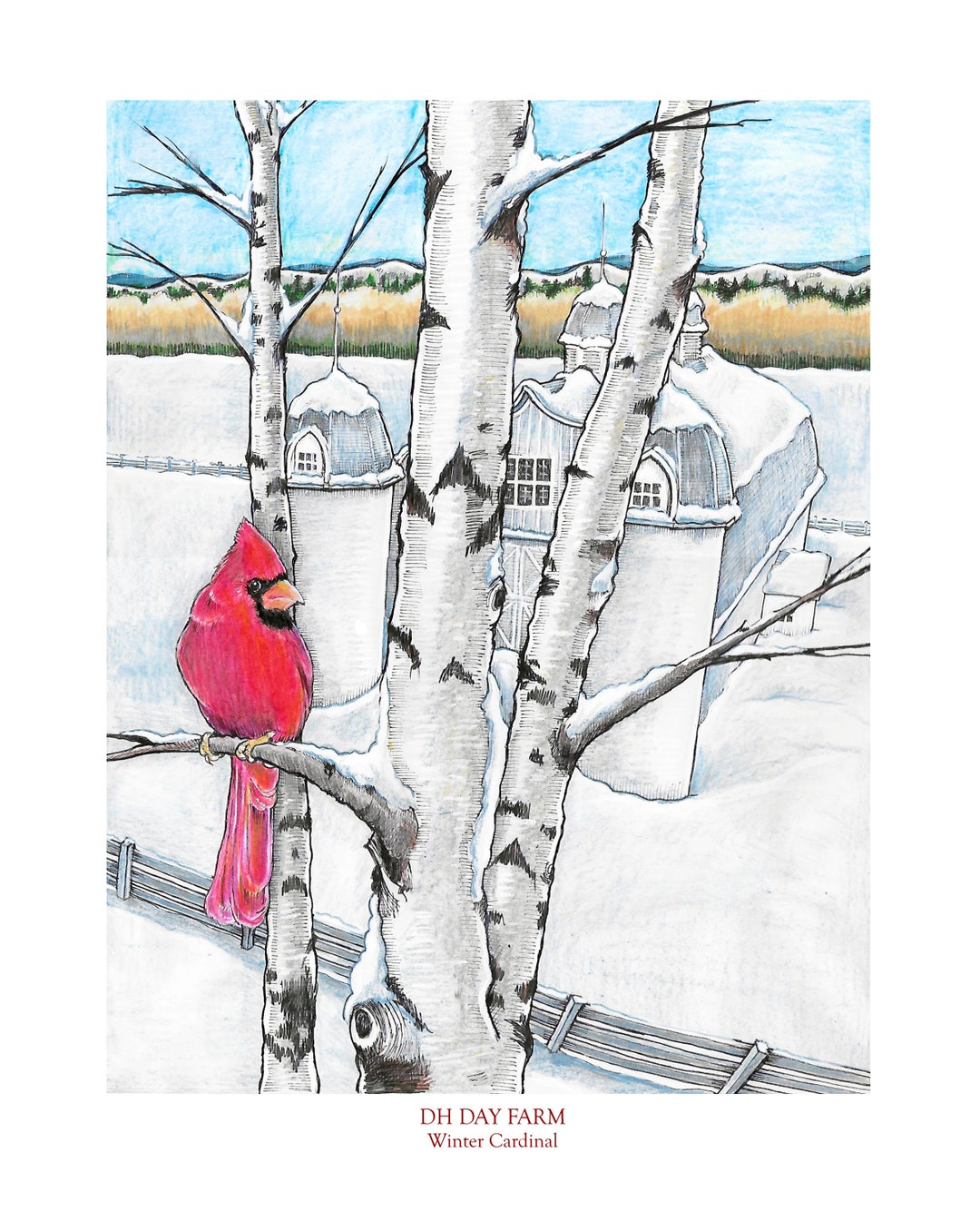DH Day Farm, Red Cardinal. Art Print, Farm, Barn, Red, Angle, Winter ...