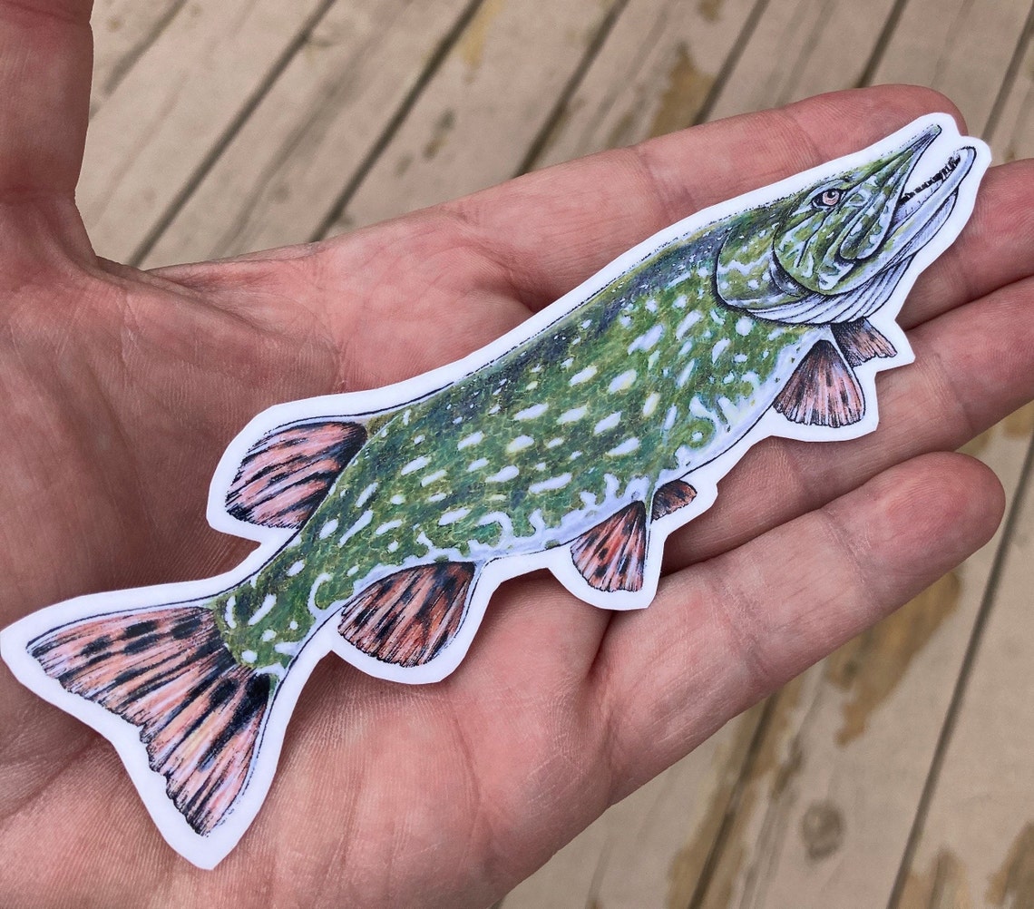 Sticker, Decal, Fish, Pike, Northern, Vinyl, Water Resistant, Fish ...