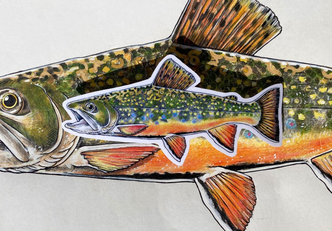 Sticker, Decal, Fish, Brook Trout, Vinyl, Water Resistant, Fishing ...