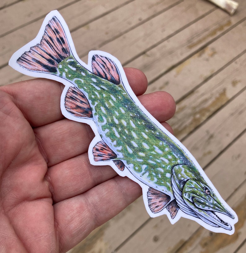 Sticker, Decal, Fish, Pike, Northern, Vinyl, Water Resistant, Fish ...