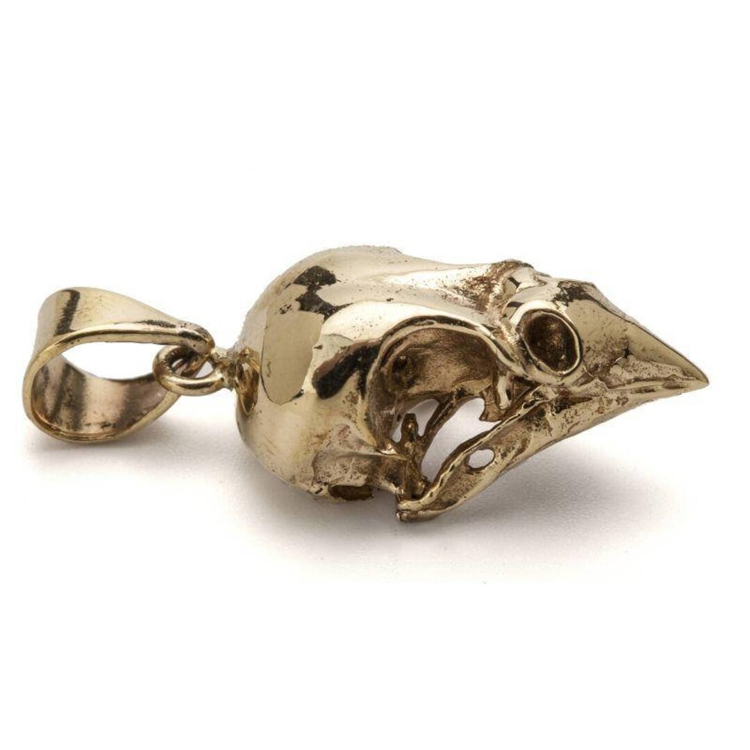 Chaffinch Skull Pendant, Finch Skull, Bird Skull, Brass Pendant, Brass ...