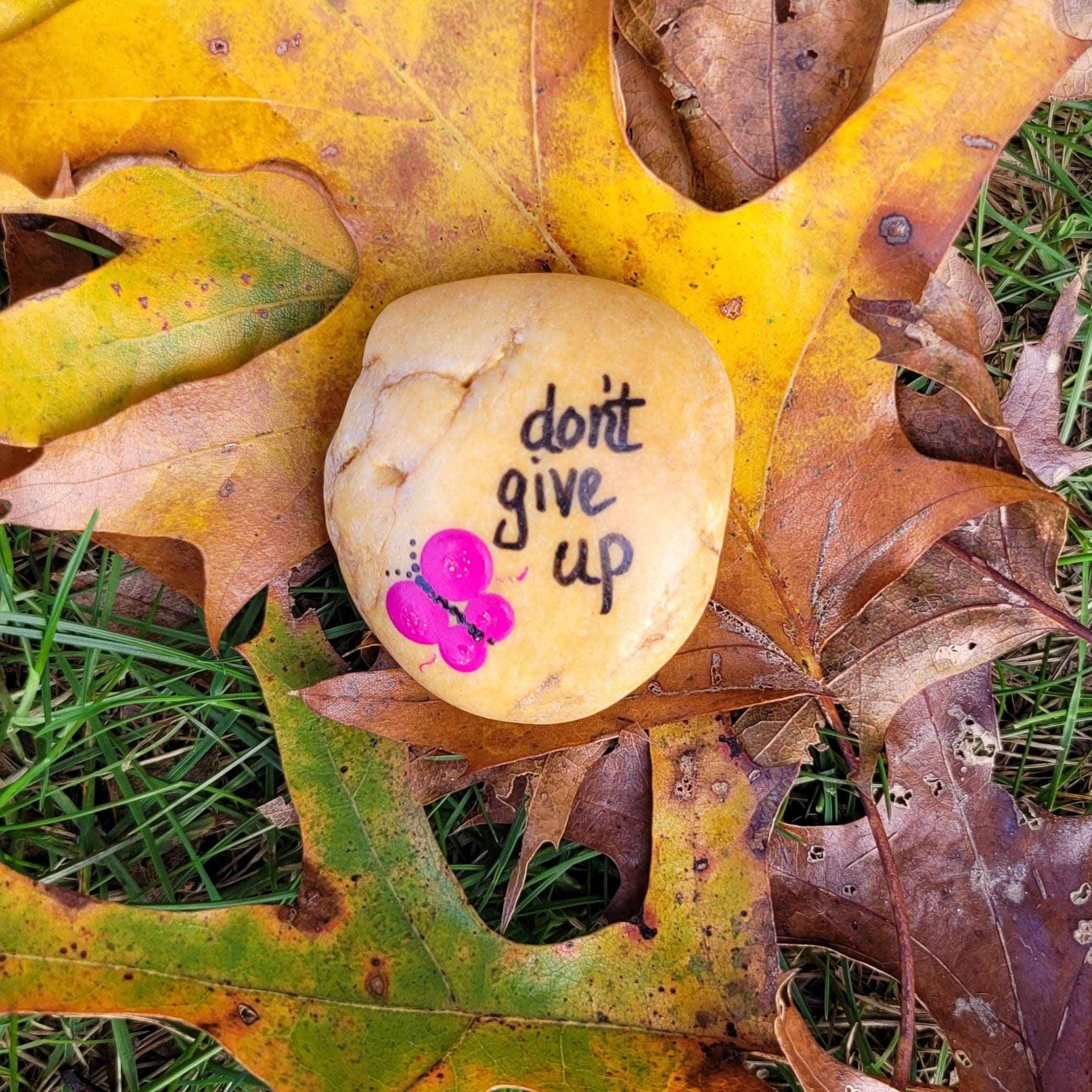 Hand Painted Stone don't Give Up - Etsy