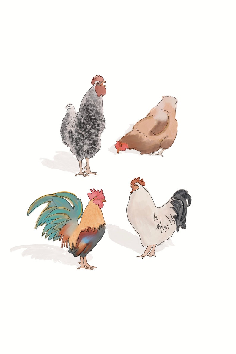 Chicken Friends | Digital Download Print Art | Farm Art - Etsy