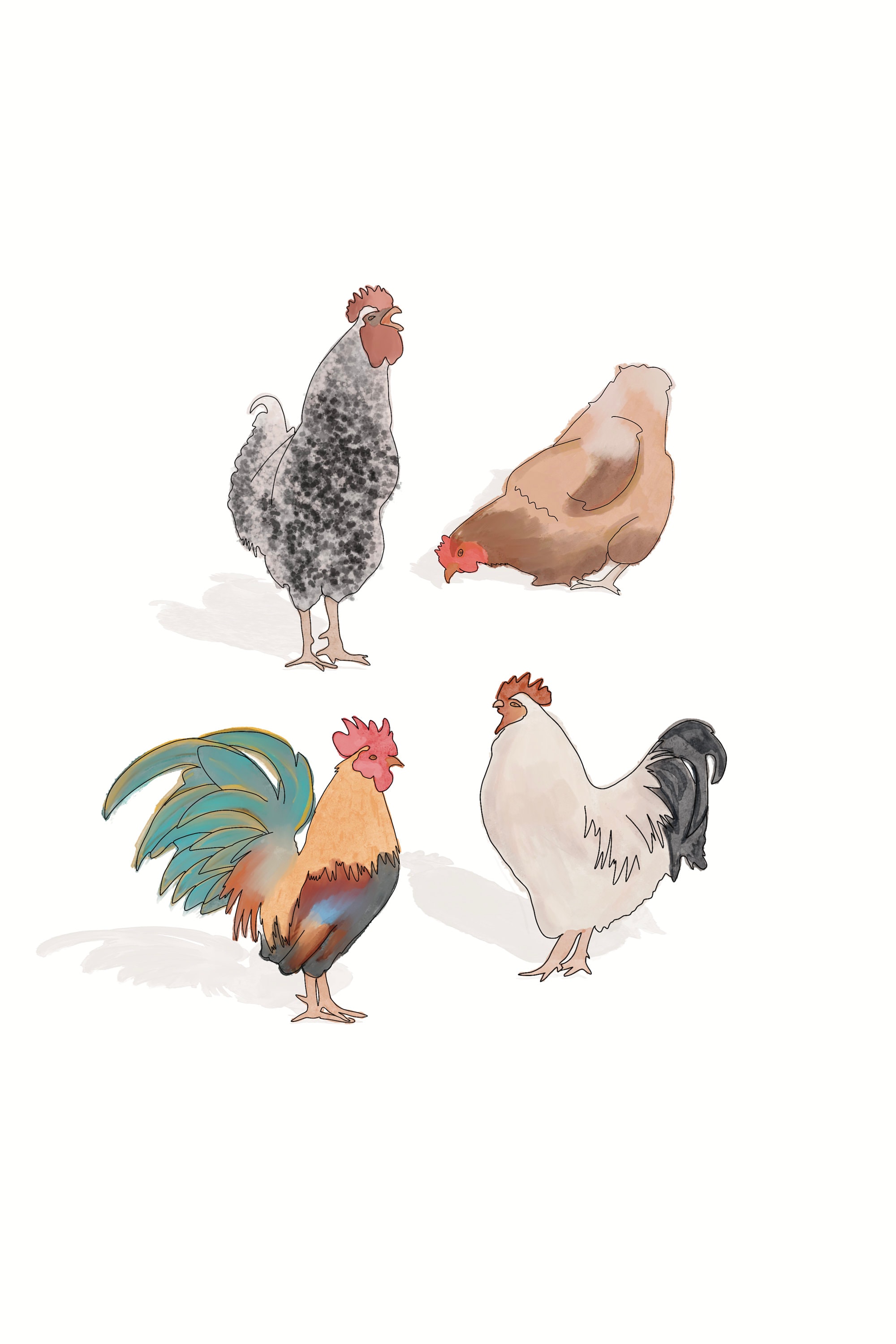 Chicken Friends | Digital Download Print Art | Farm Art - Etsy