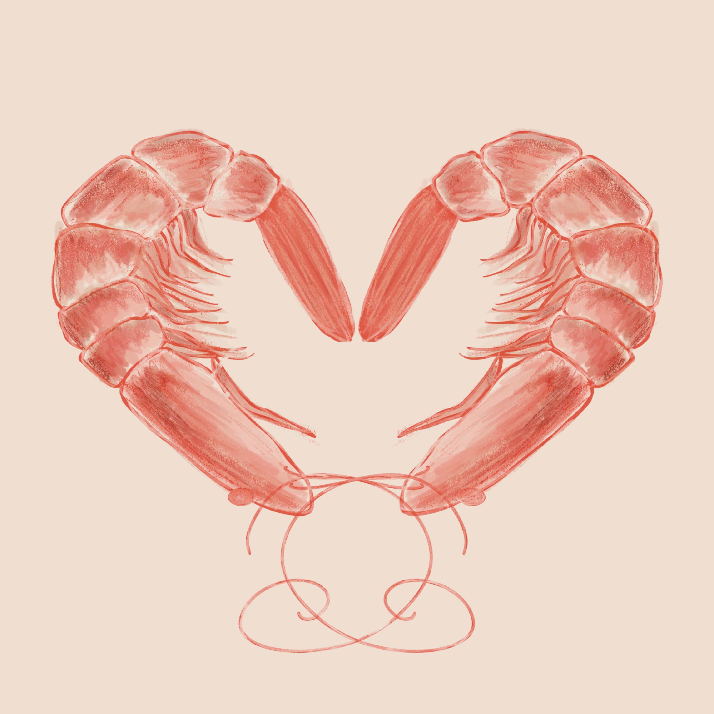 Shrimp Heart Print | DIGITAL DOWNLOAD | Art Print - Etsy
