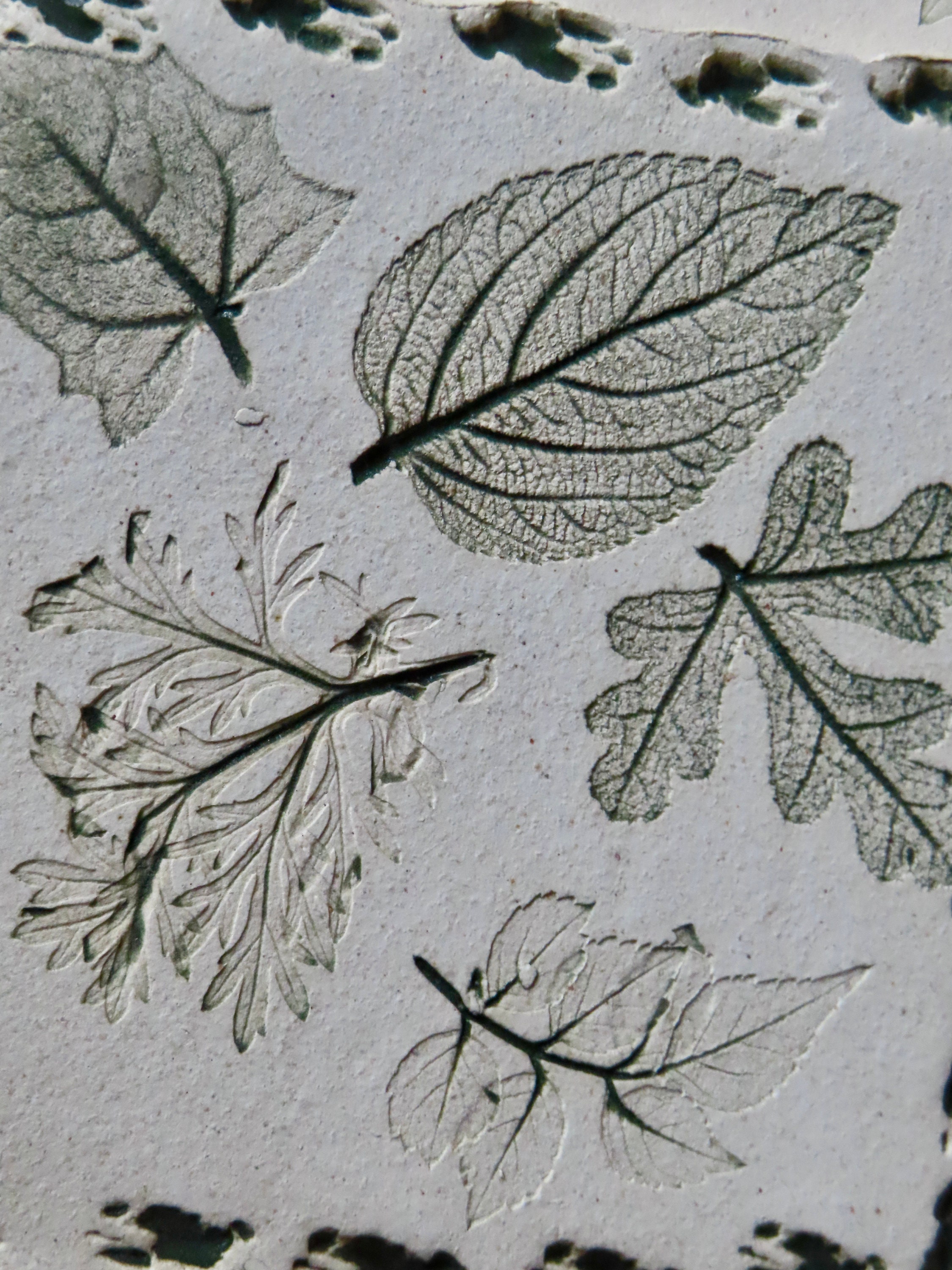 6 Handmade Lead Free Stoneware 3 1/2 Square Green Leaf Imprinted Tiles ...