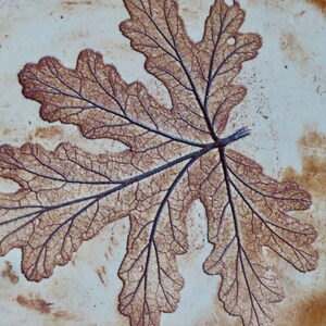 5 Handmade Lead Free Porcelain 4 1/2 Square Brown Leaf Imprinted Tiles ...