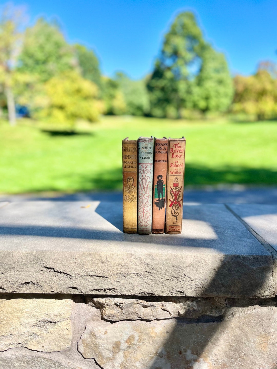 Vintage Hardcover Book Set, Shelf Decor Set, Rustic Books, Children's ...