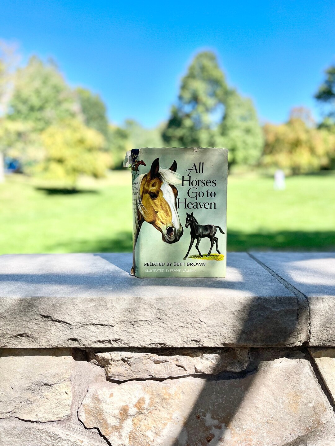 Vintage Hardcover Book, "all Horses Go to Heaven," Beth Brown, 1963 - Etsy