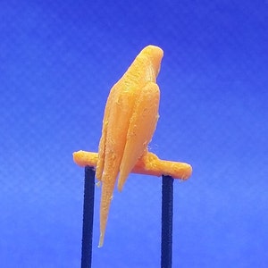 Miniature Parrot,dollhouse Decoration,scale Birds,pet, Interior ...