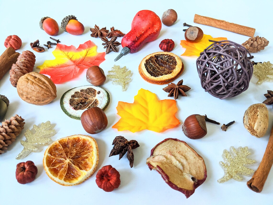 Fall Forager Autumn Themed Sensory Box Loose Parts Play Tinker - Etsy