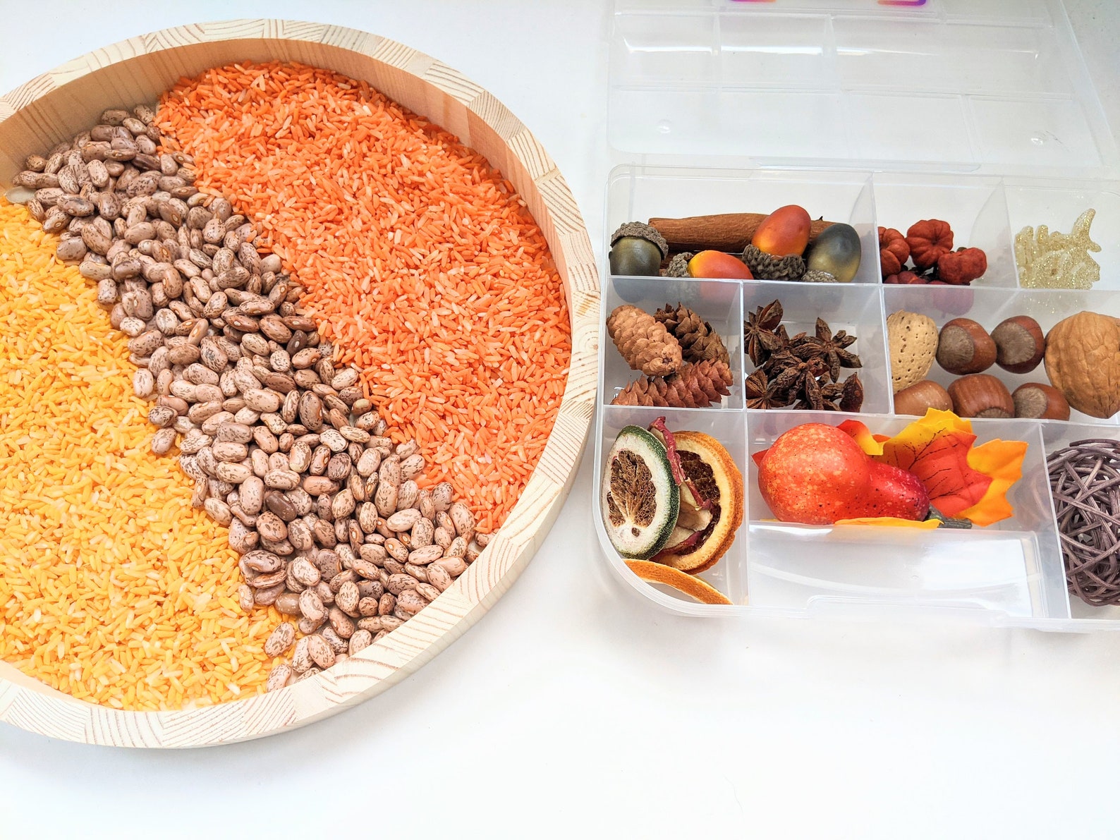 Fall Forager Autumn Themed Sensory Box Loose Parts Play Tinker Tray ...
