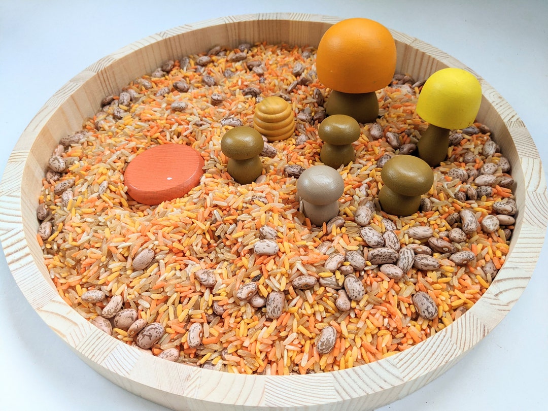 Sensory Bin Filler Fall Autumn, Invitation to Play, Loose Parts Play ...
