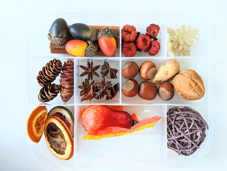 Fall Forager Autumn Themed Sensory Box Loose Parts Play Tinker Tray ...