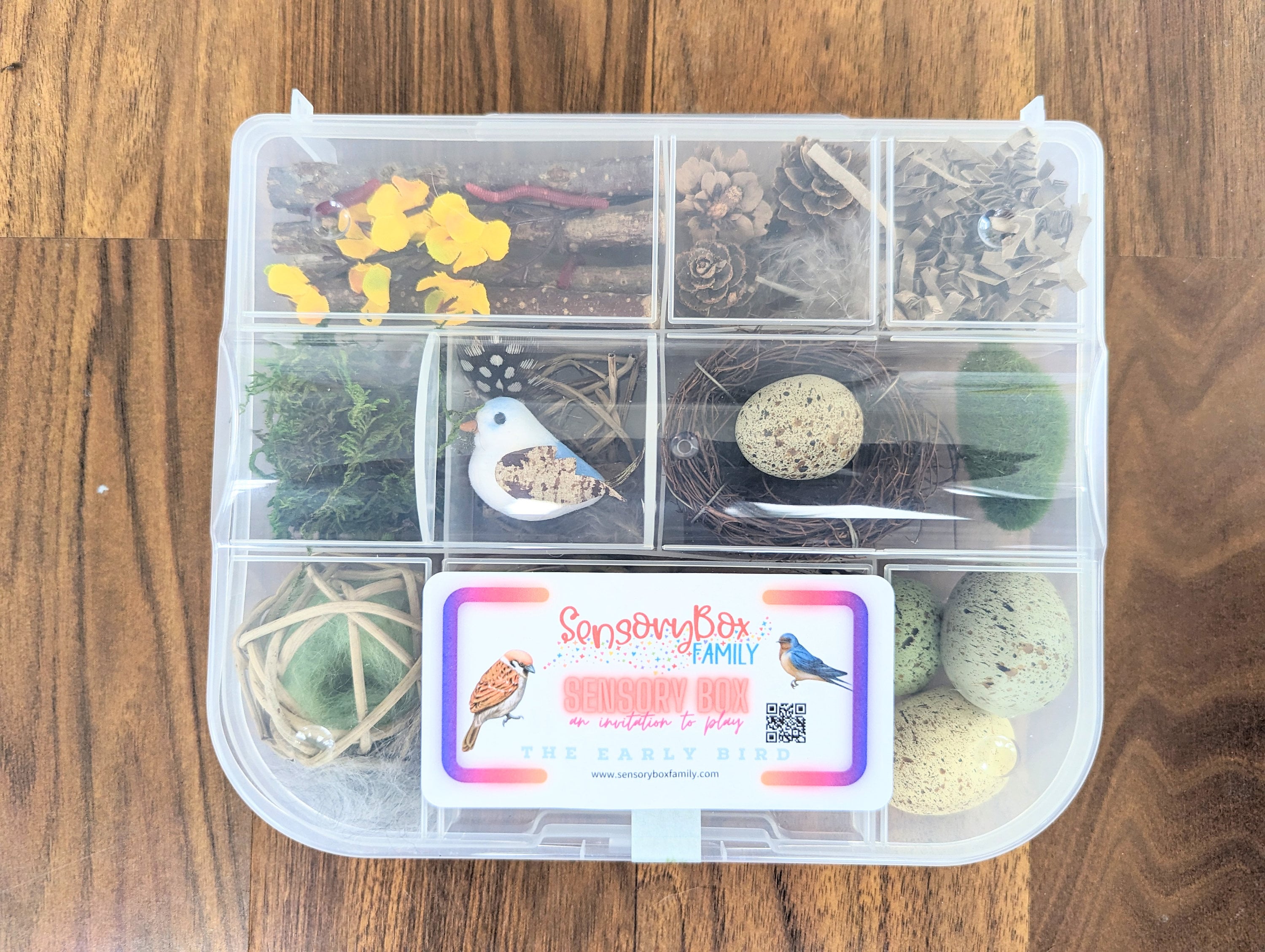 Bird Themed Sensory Box Loose Parts Play Tinker Tray Montessori - Etsy